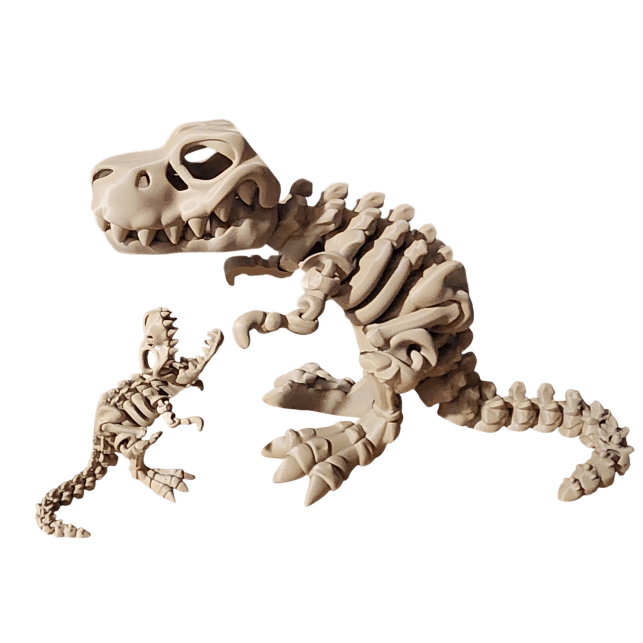 Articulated Tyrannosaurus Rex 3D Printed Dinosaur | Fragrant Moon Designs
